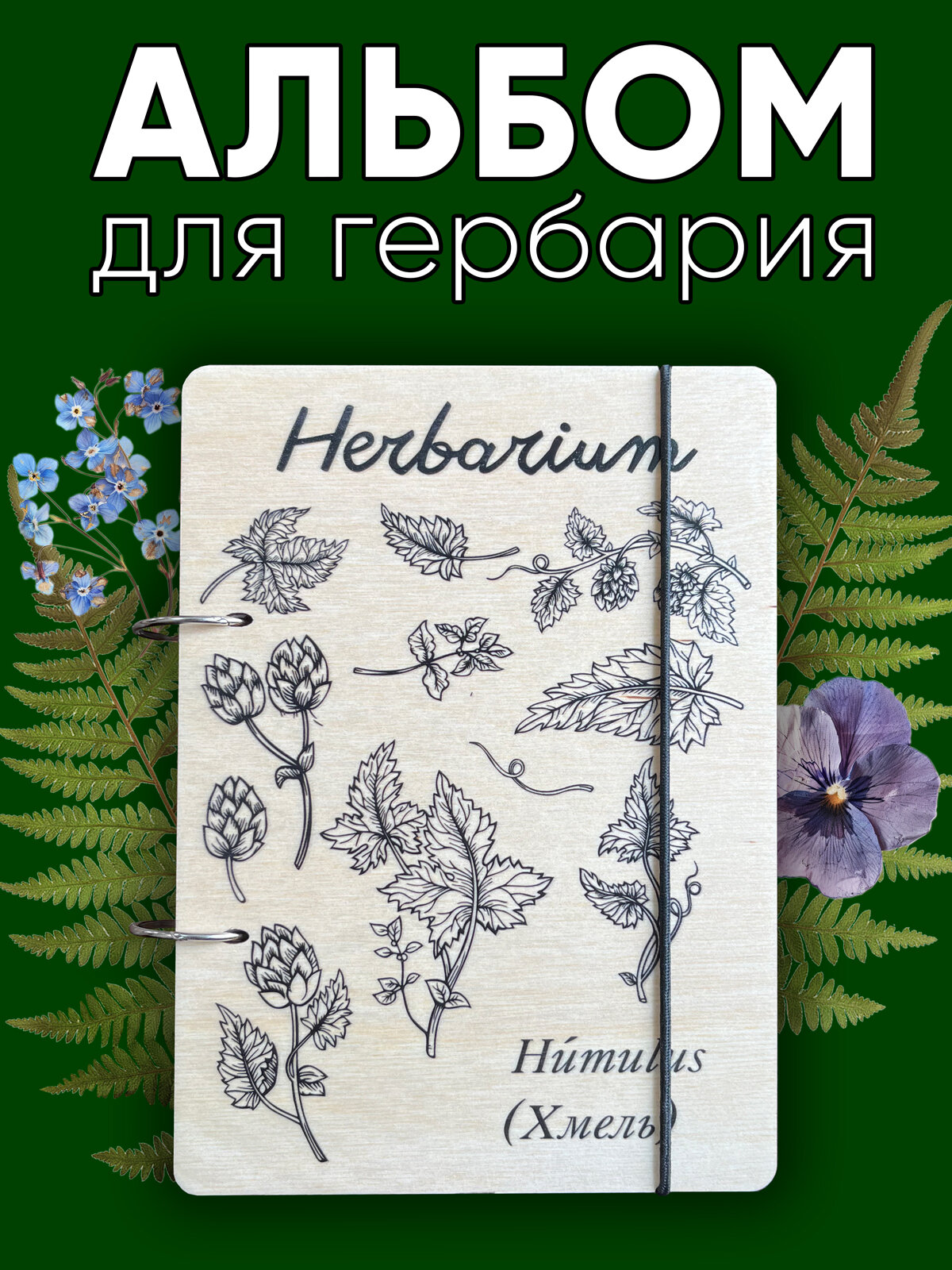 Альбом для гербария и коллекционирования трав, цветов и растений "Хмель" с калькой