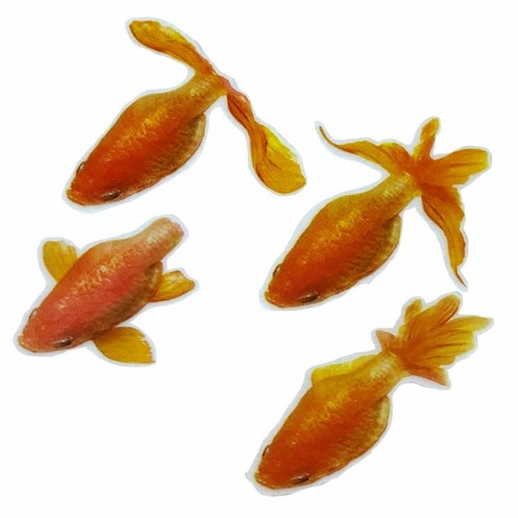 Рыбки для заливки эпоксидной смолой 3D