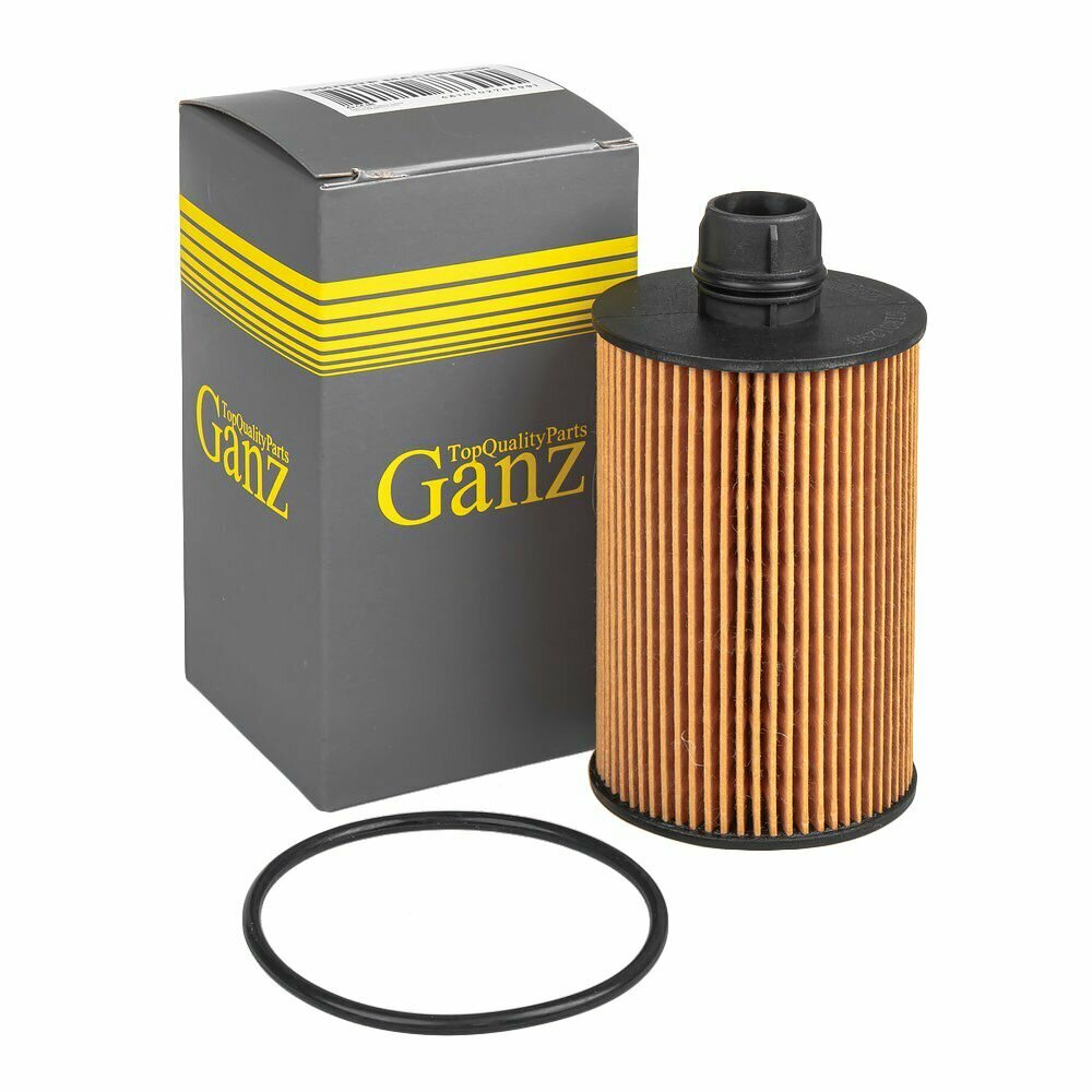 Фильтр масляный JEEP Grand Cherokee IV (WK) 3,0 CRD V6 GANZ GIR01290