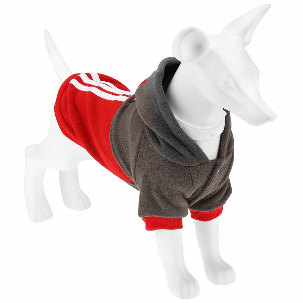 Толстовка для собаки Pet Toys "Dog", капюшон, М, длина 24 см, обхват груди 36 см, шеи 28 см, серо-красная