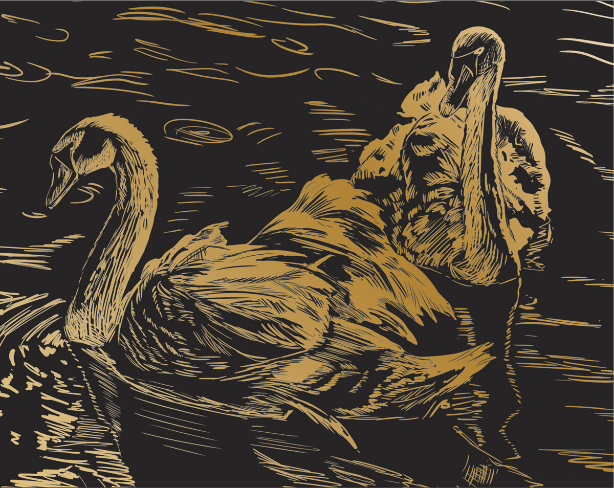 Hobbius SGHK-TW17 Набор для творчества Гравюра 20 × 25.5 см №43 Лебеди в золотом цвете