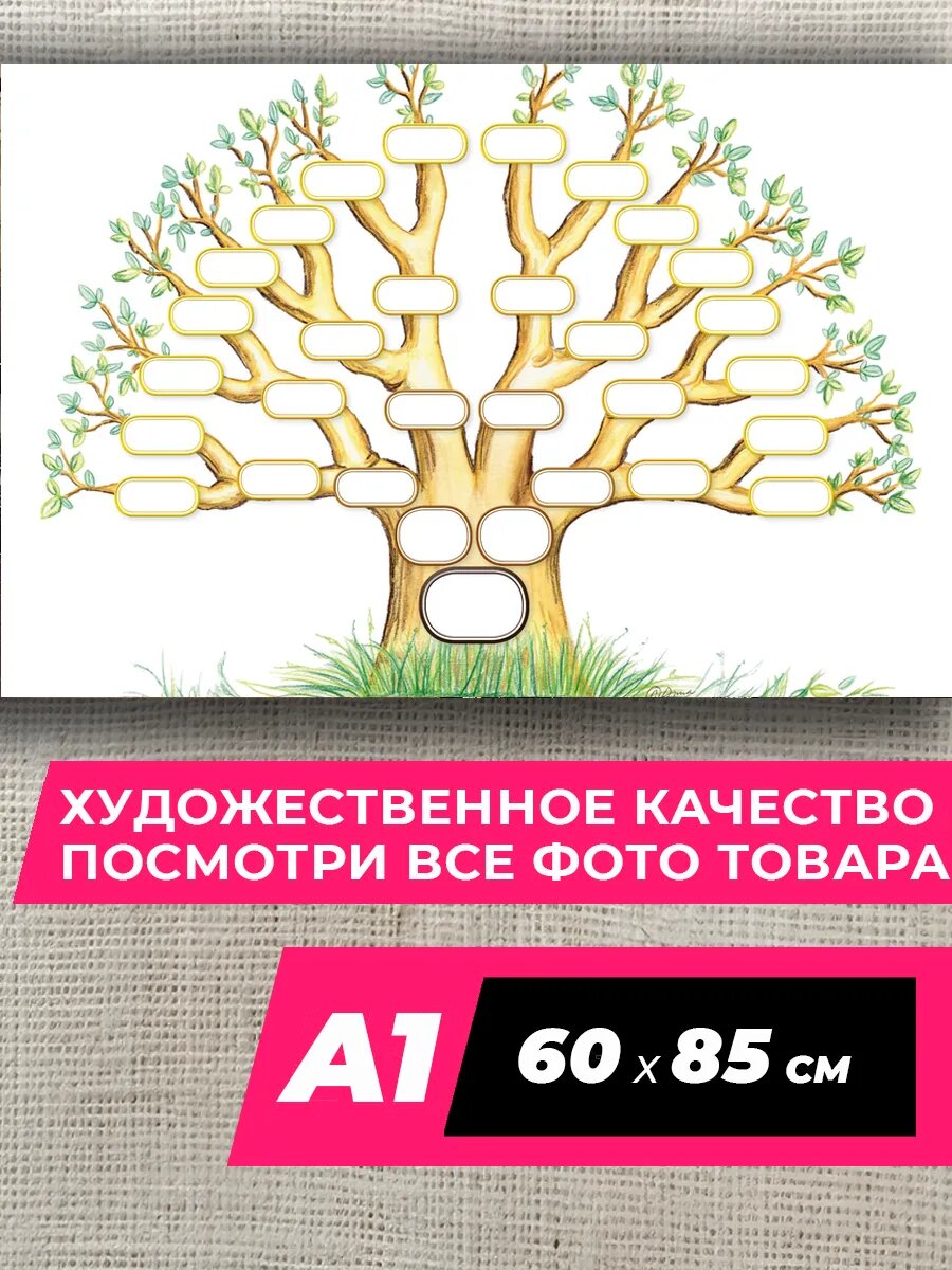 Постер Генеалогическое древо на стену A1, матовая фотобумага премиум качества