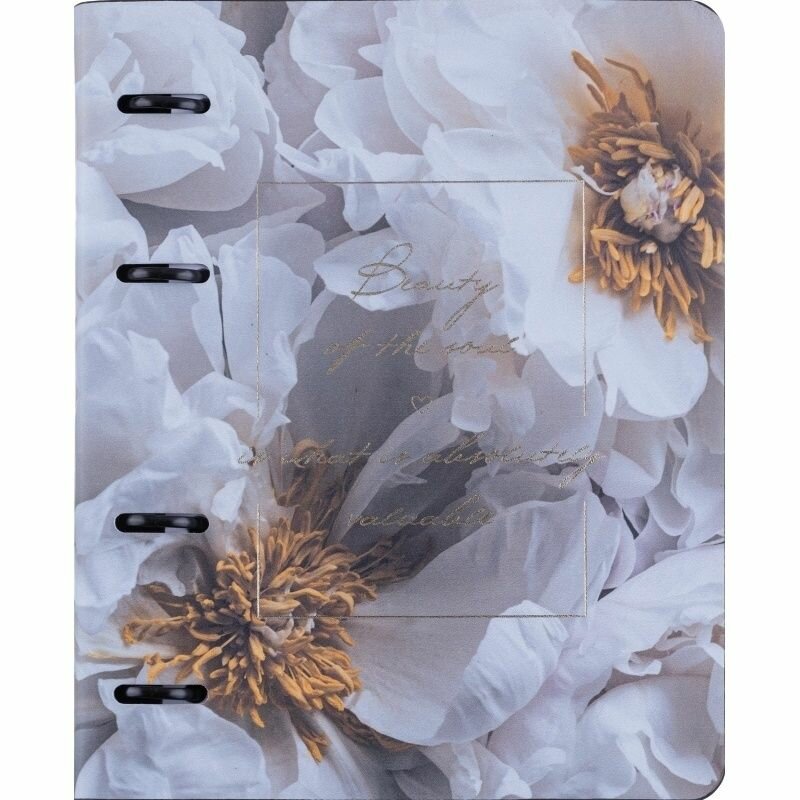 Тетрадь Infolio Study "Beauty", цветы, общая, 175х212 мм, 120 листов, клетка, кольца (N4580)