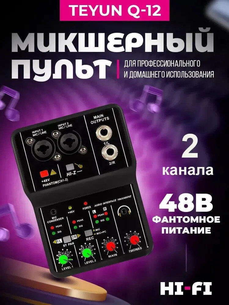 Микшерный пульт Teyun Q-12, 2 канала, с фантомным питанием, чёрный