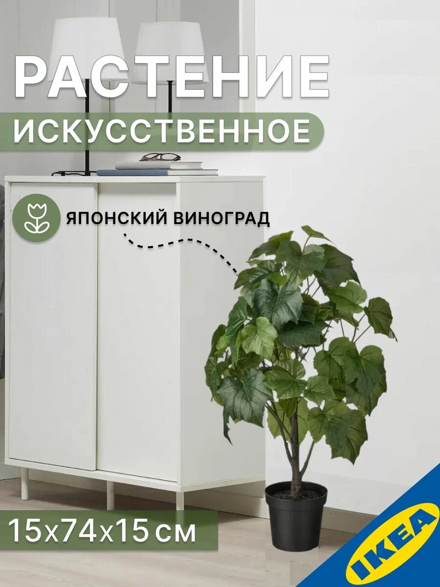 Искусственное растение в горшке Японский виноград 15х74х15 см зелeный IKEA FEJKA фейка