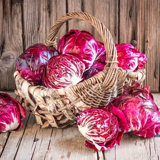 Капуста Краснокочанная (0,25 гр.), Гавриш, Россия