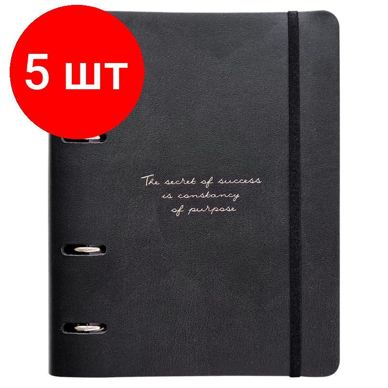 Комплект 5 штук, Тетрадь со сменным блоком А5.120л, Infolio Study, Quote, иск. кож, N3810