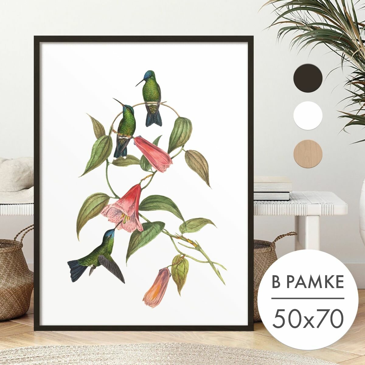 Постер 50х70 В рамке "Колибри" для интерьера