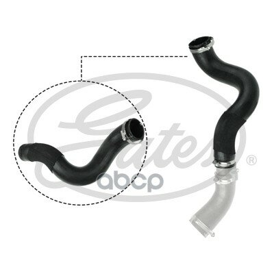 Патрубок интеркулера Ford Transit 0714 Gates арт. 090617