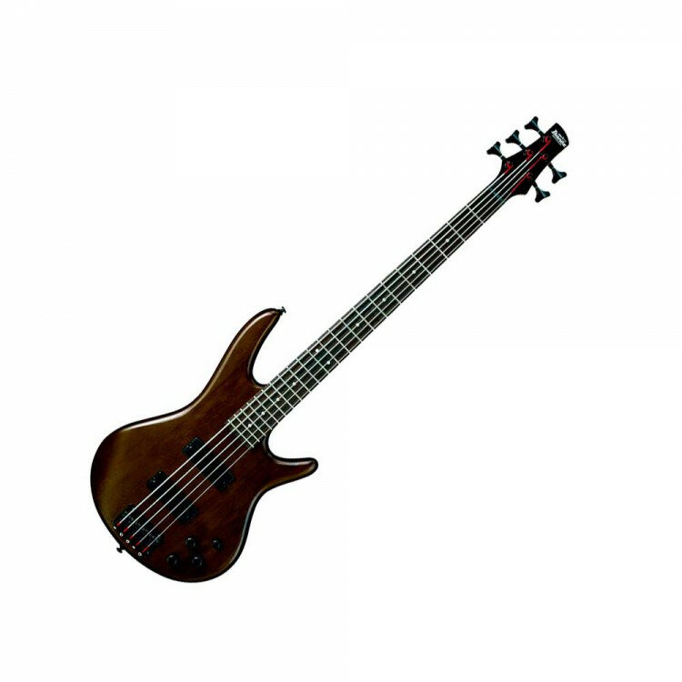 Бас-гитара Ibanez GSR205B-WNF — фото 1