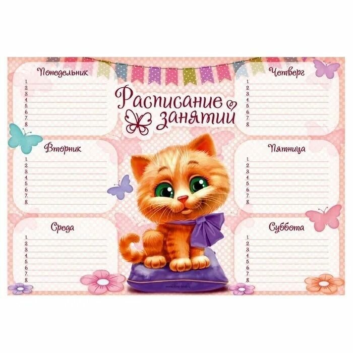 Расписание уроков "Милашка киса"