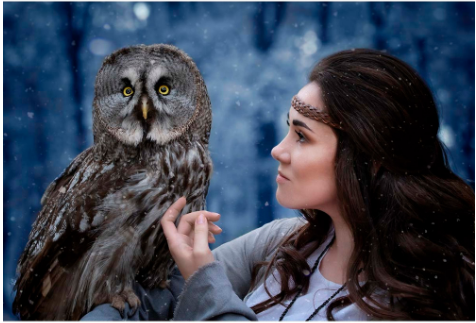 Алмазная мозаика 30х40 см "Девушка с совой"