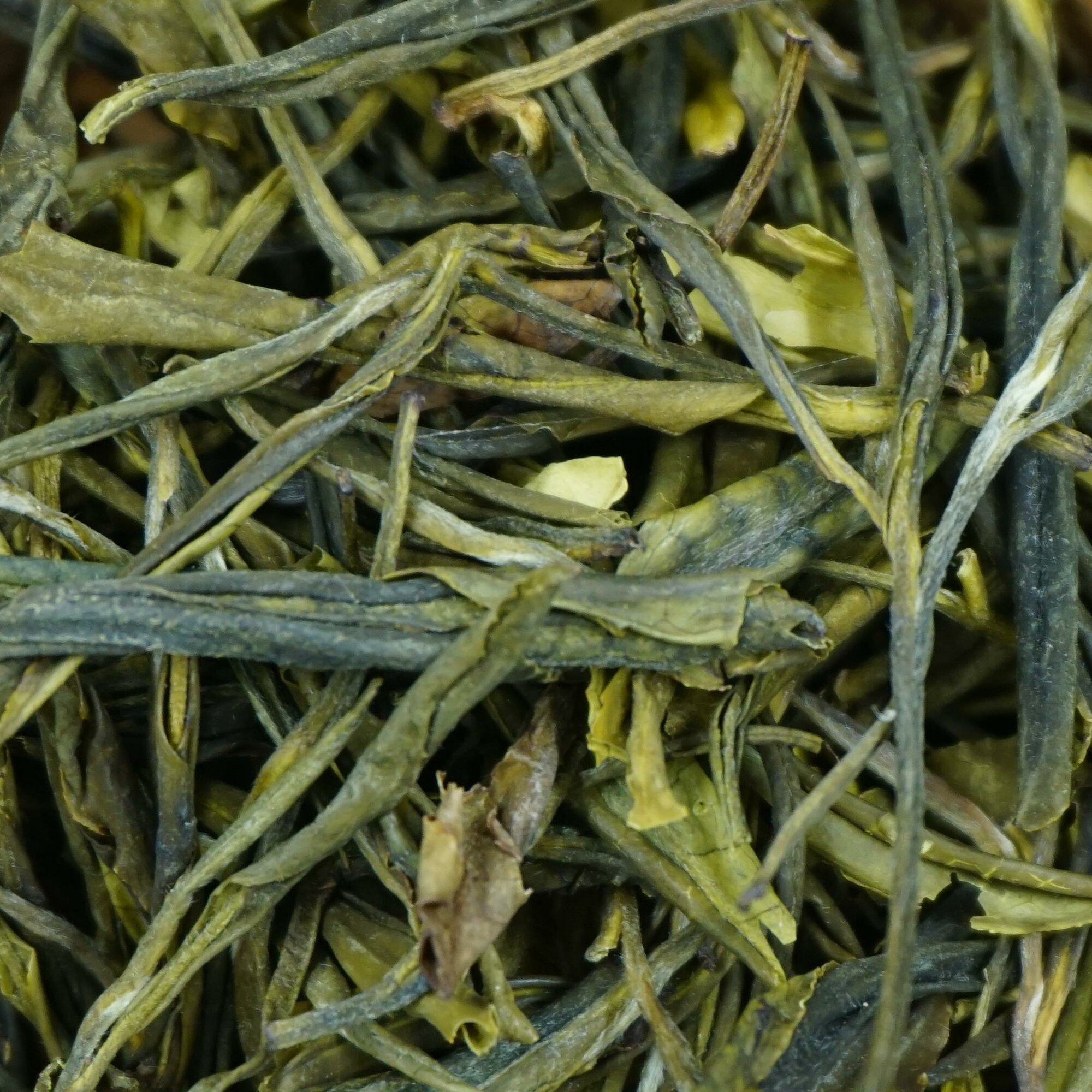 Анзци Бай Ча