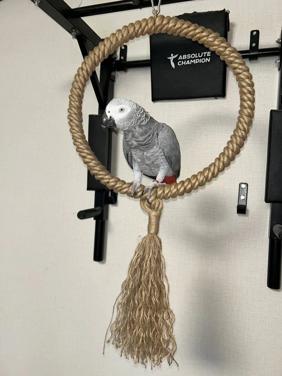 Игрушка для попугая - Толстое джутовое кольцо 35 см