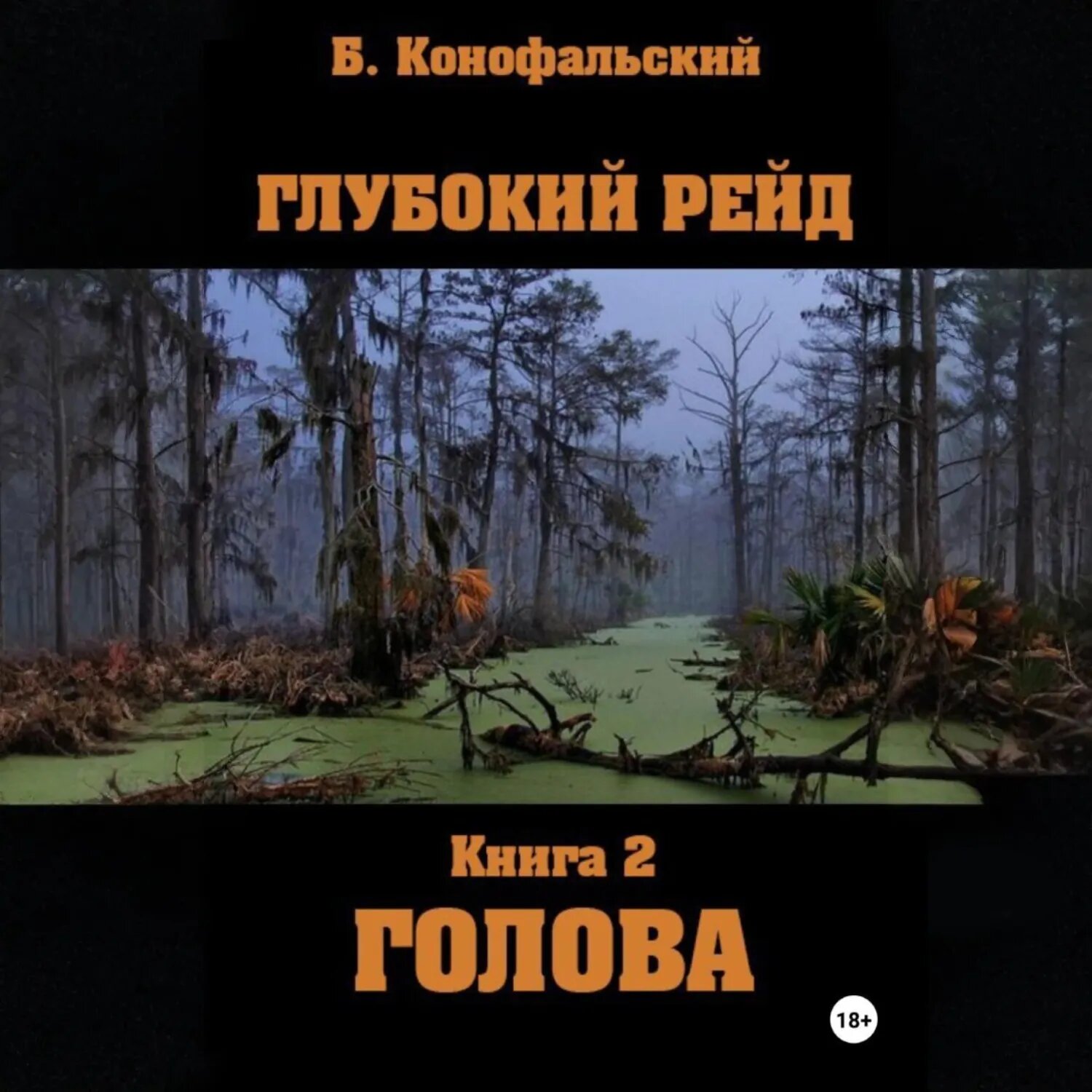Глубокий рейд, книга 2 «Голова» [Аудиокнига]