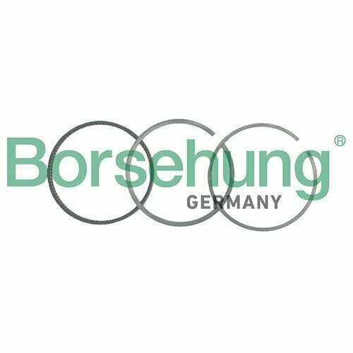 Комплект поршневых колец на поршень Borsehung B19039