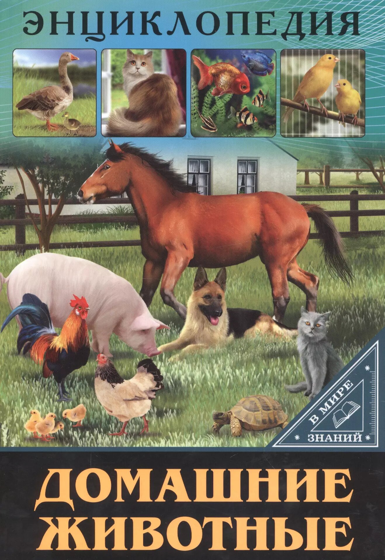 Энциклопедия. В мире знаний. Домашние животные