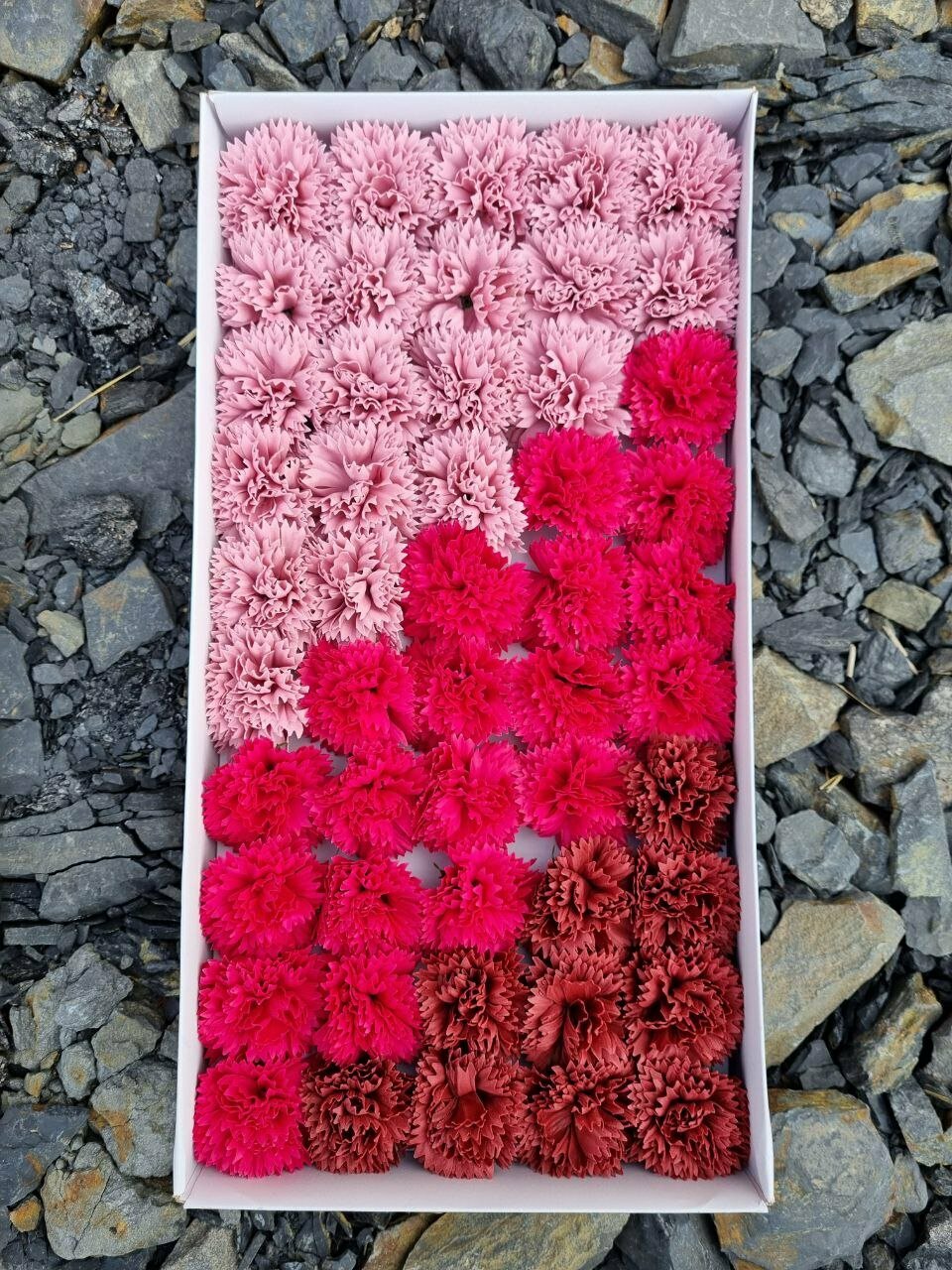 Цветы декоративные. Гвоздика. Цвет микс пудра розовая/малиновый/красно коричневый. Упаковка 50 шт.