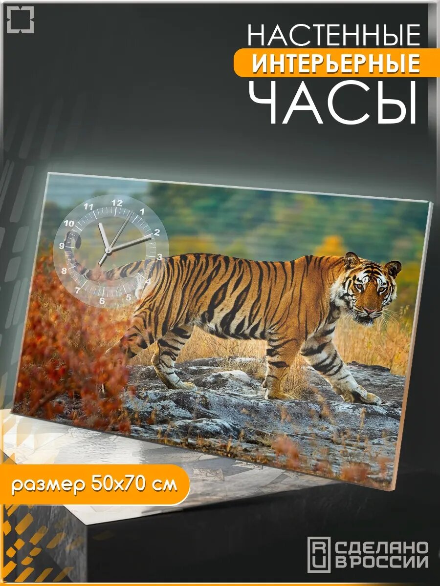 Часы УФ 50x70 с принтом эстетика Тигр (дикая природа, животные, хищник, лес) - 179