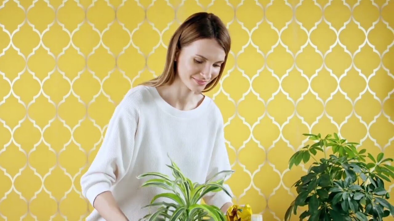 Ящик для хранения Econova GRAND BOX с вставкой-органайзером 15,3 л