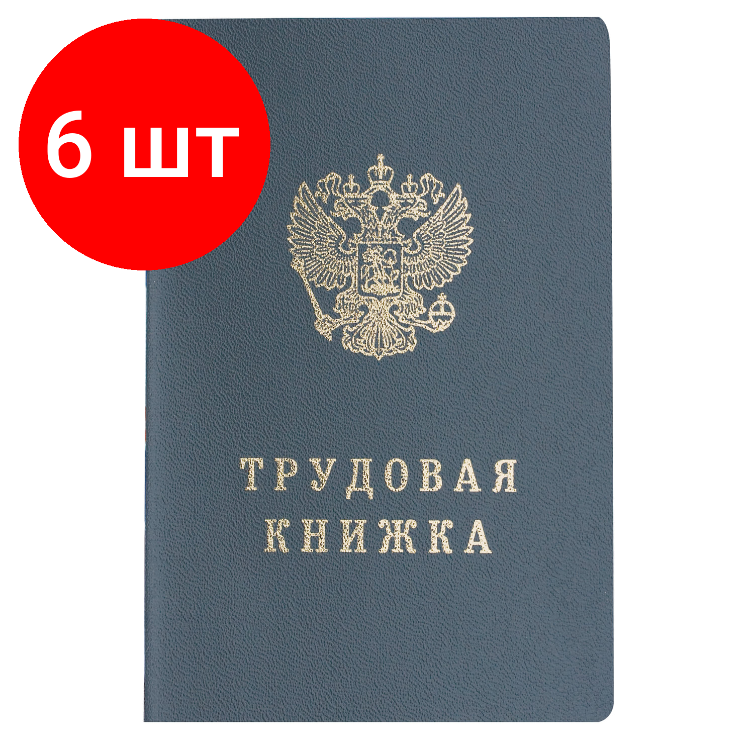 Комплект 6 шт, Бланк документа "Трудовая книжка", 88х125 мм, гознак