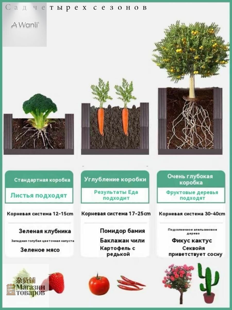 Грядка — фото 1