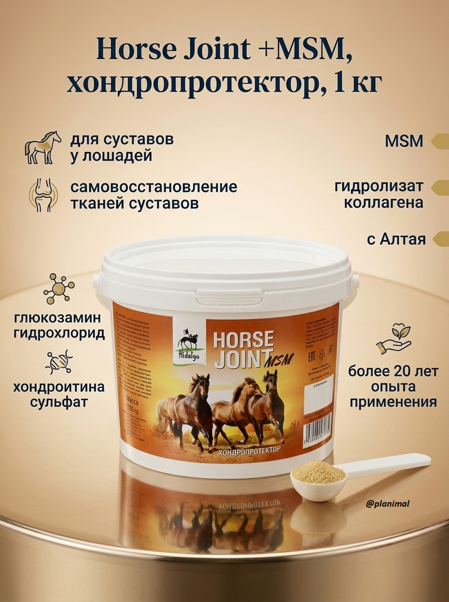 Идальго: Horse Joint +MSM, хондропротектор, 1 кг