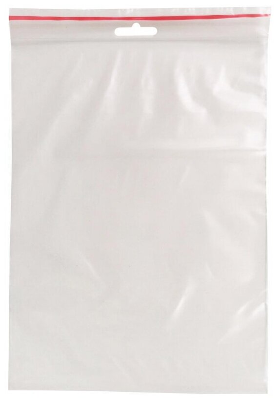 Пакет с замком (Zip Lock) с европодвесом 18 х 25 см, 60 мкм, 100 шт/уп 1269623