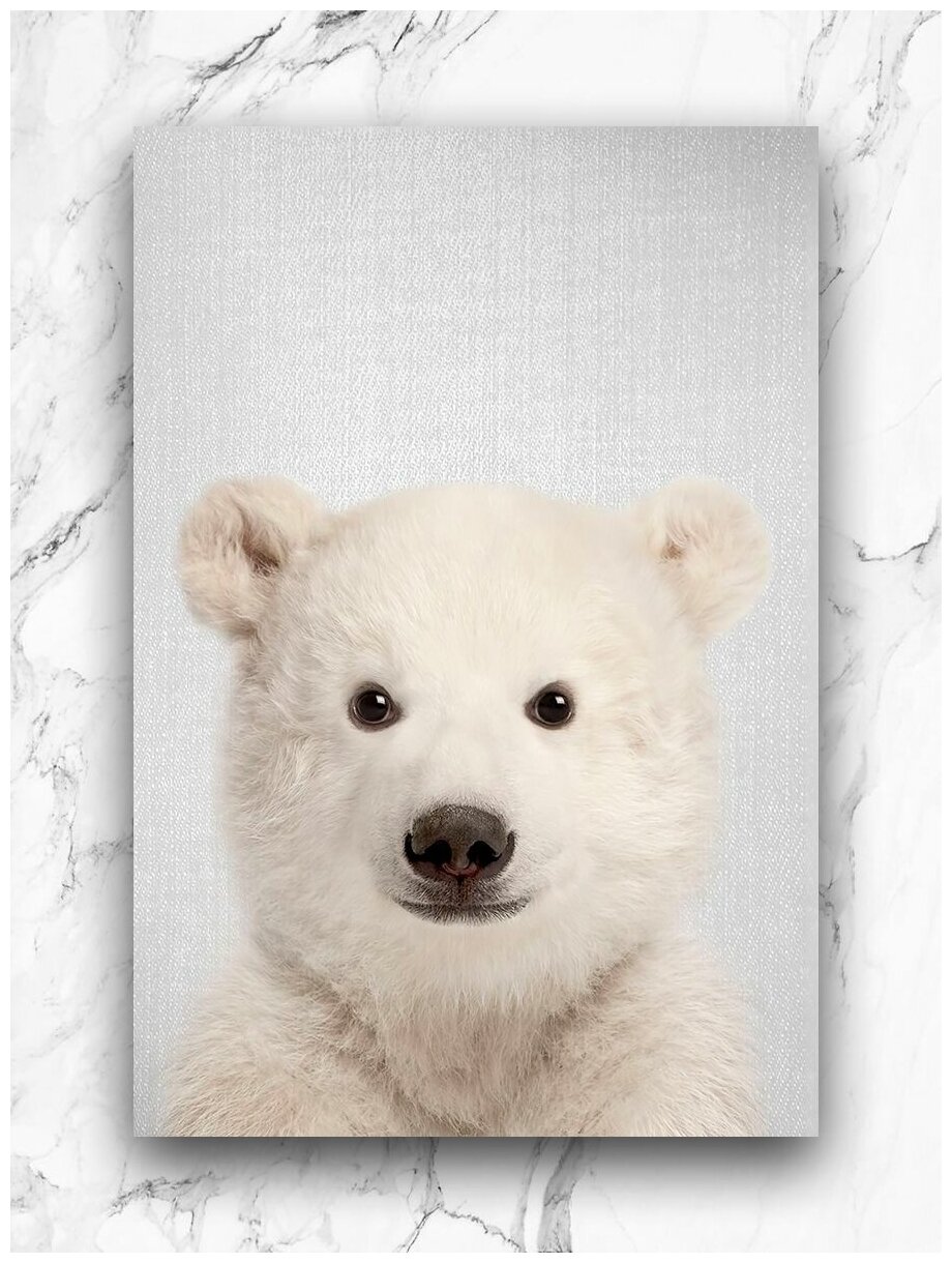 Картины для интерьера на холсте 40х60 см/ Белый медведь