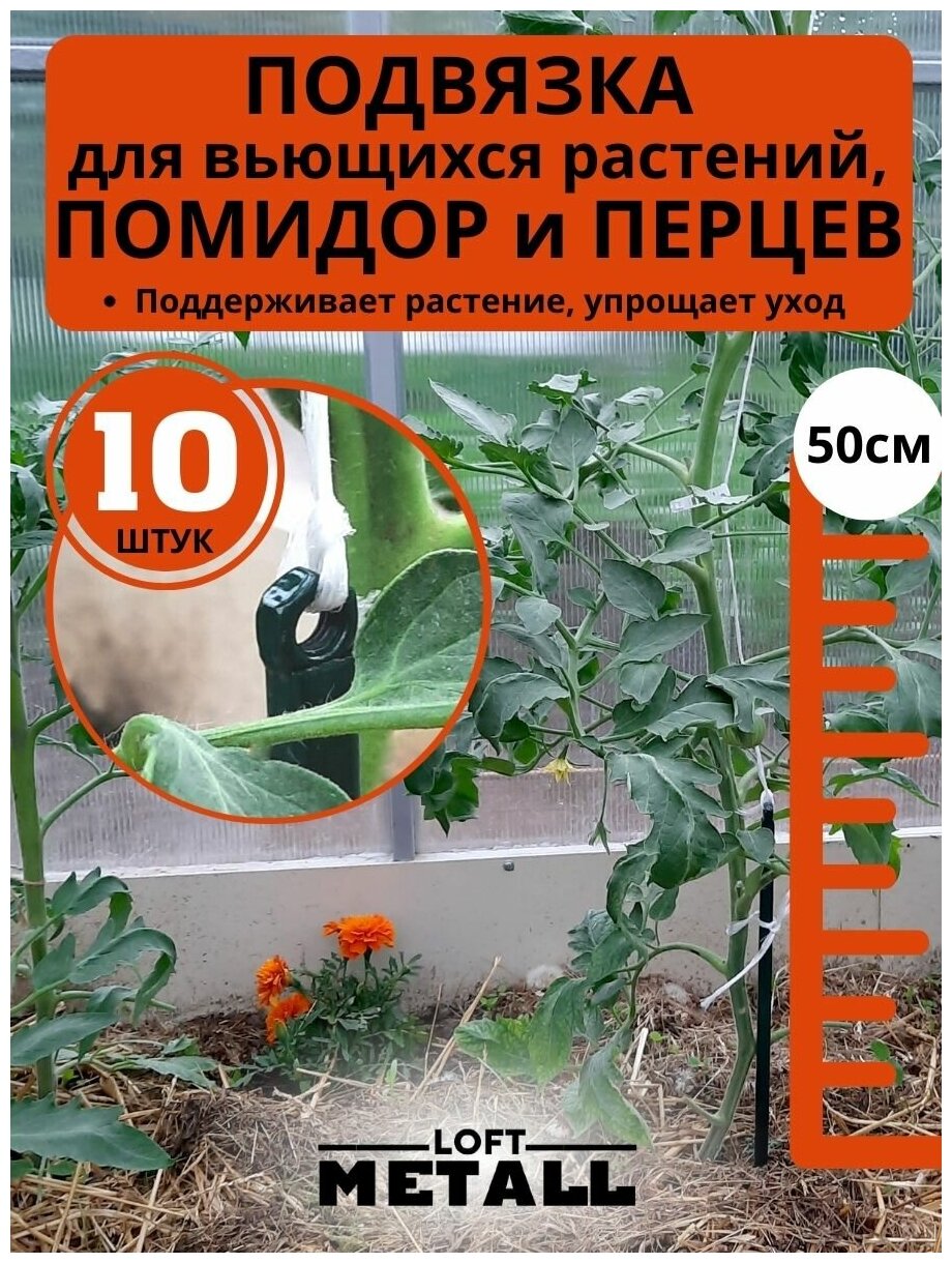 Колышки садовые, подвязка для вьющихся растений, помидор и перцев, опора, кустодержатель ограждение 50см 10 шт