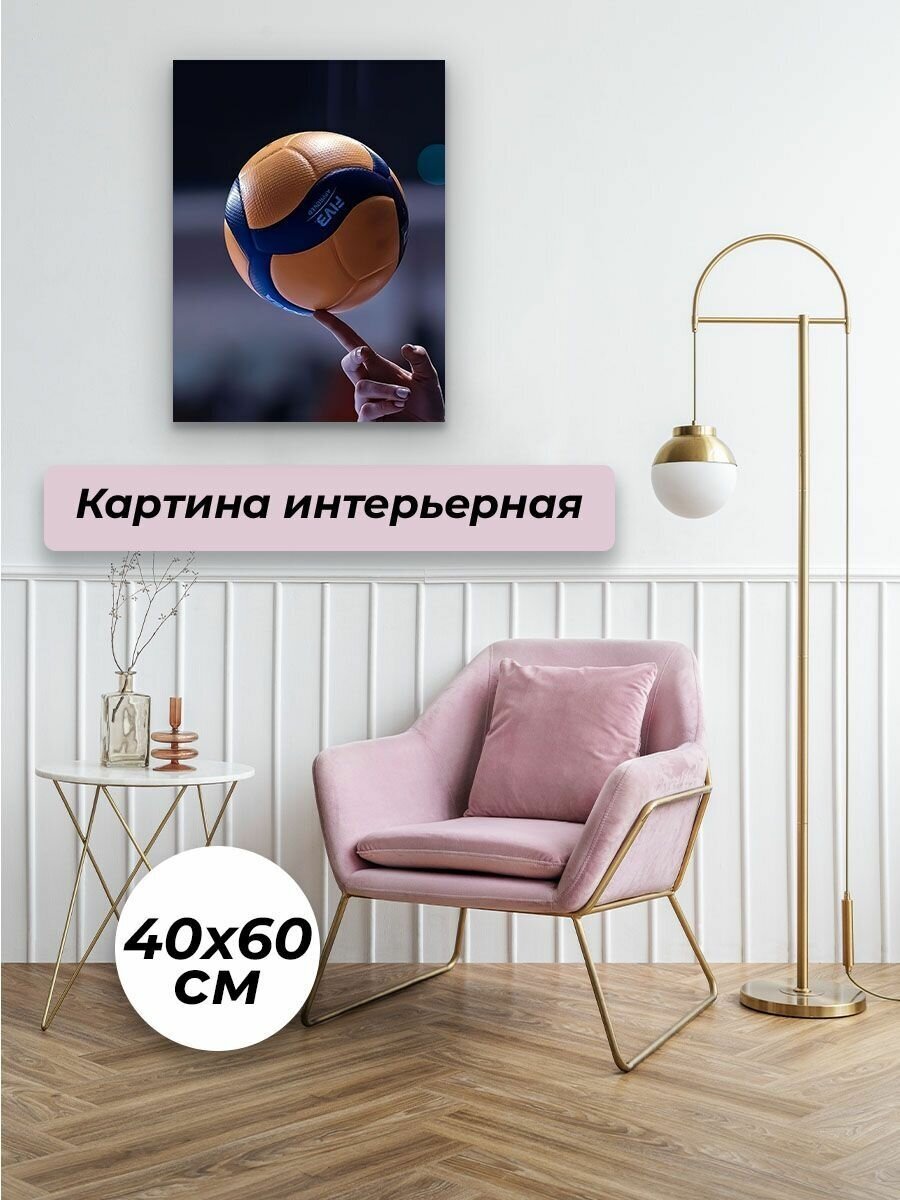 Картины для интерьера 40х60 Мяч Волейбол