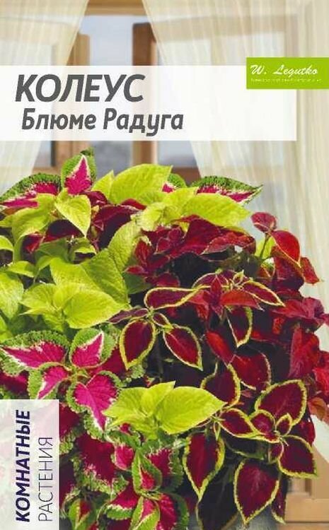 Семена растения колеус блюме радуга смесь