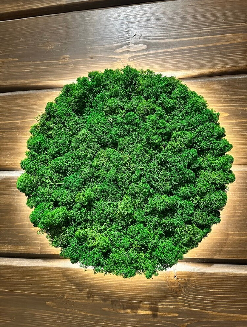 Светильник-ночник "Круг ЭКО со мхом" 35см, с дистанционным управлением, белая теплая подсветка