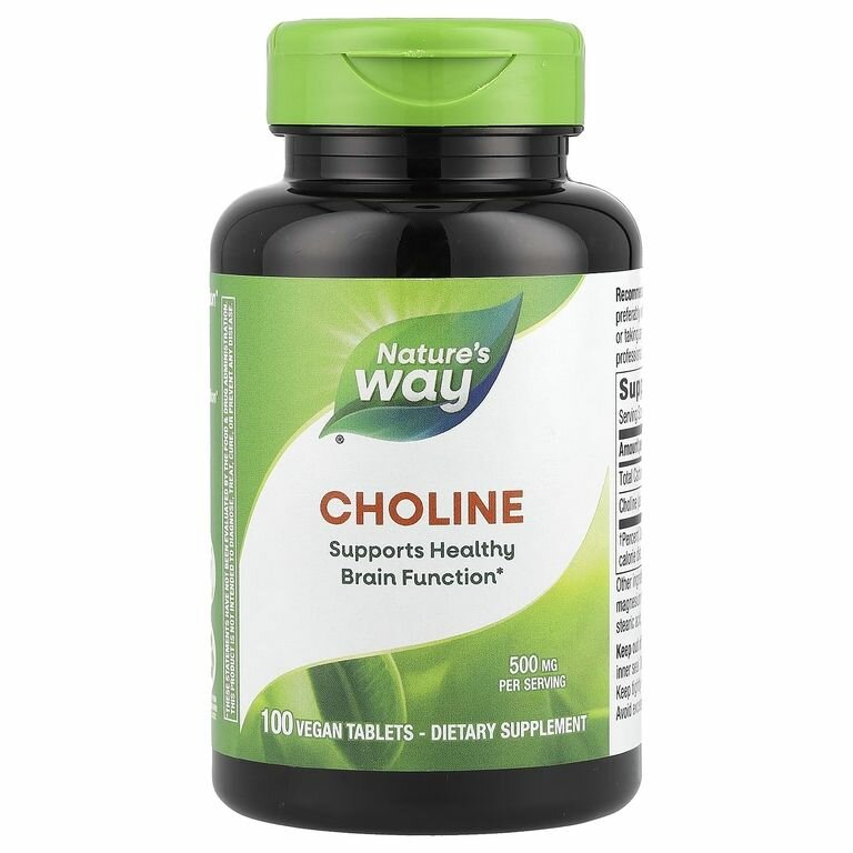Nature's Way, Choline, Холин, для здоровья мозга, 500 мг, 100 таблеток