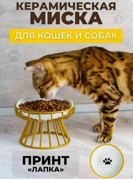 Миска тарелка керамика на подставке для кошек собак животных -lj
