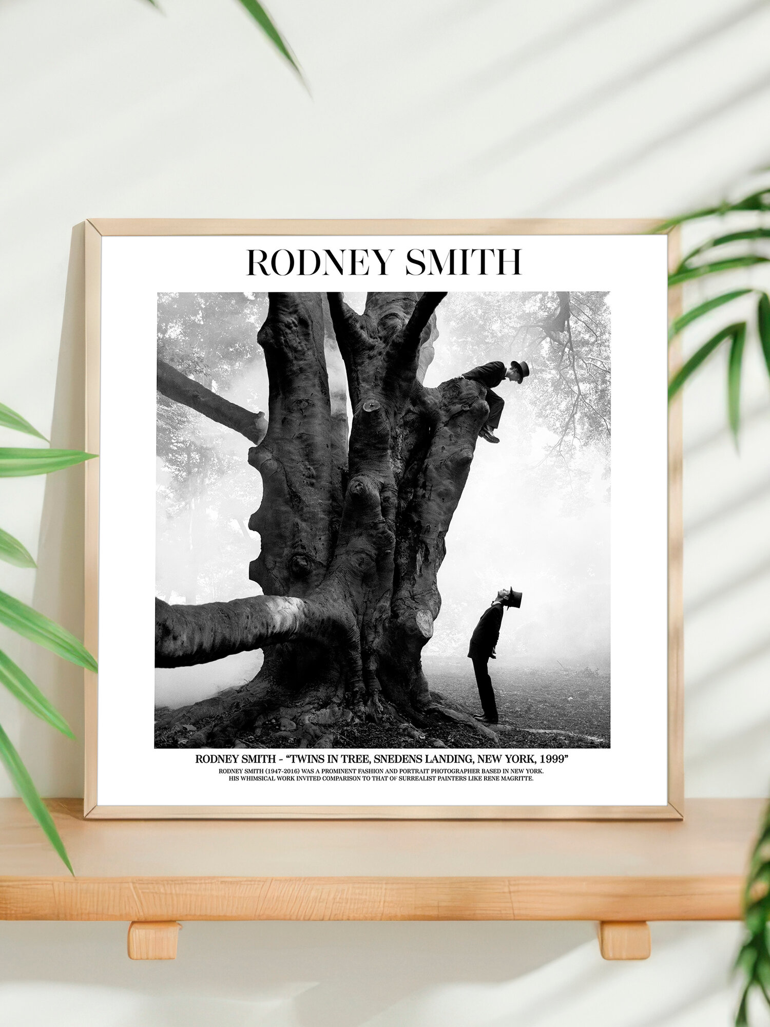 Постер фотография для интерьера Casa Paterna черно-белый Родни Смит - Мужчины и дерево, 50х50