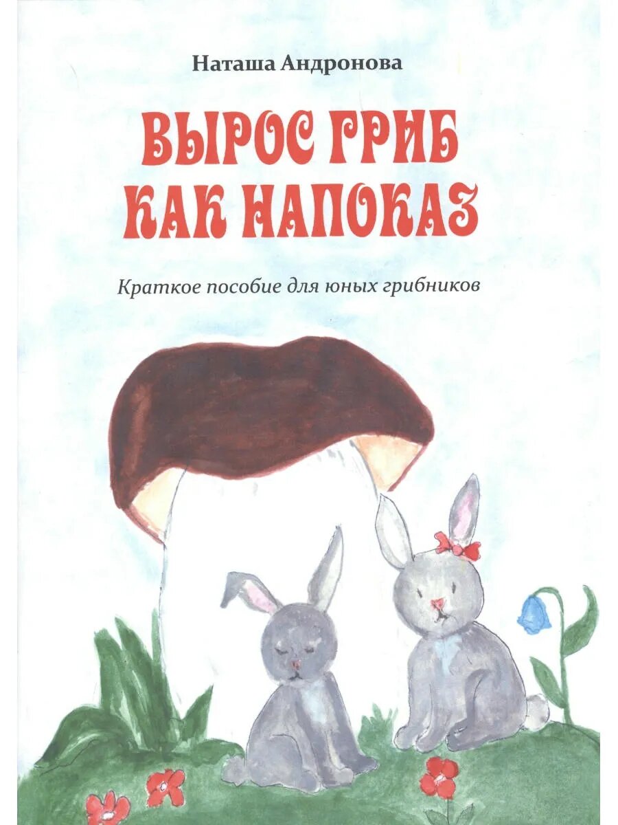 Вырос гриб как напоказ. Краткое пособие для юных грибников