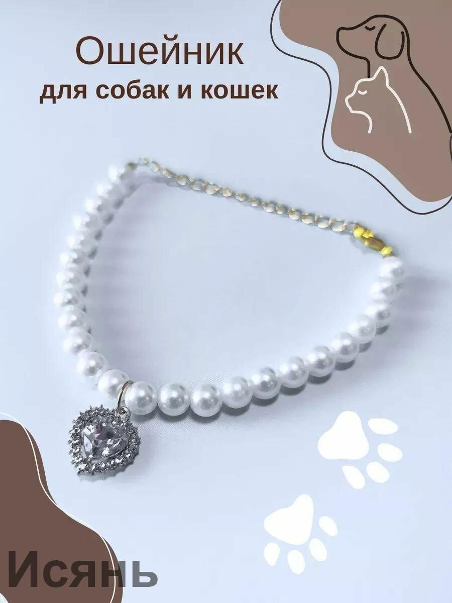 Ошейник для кошек и собак