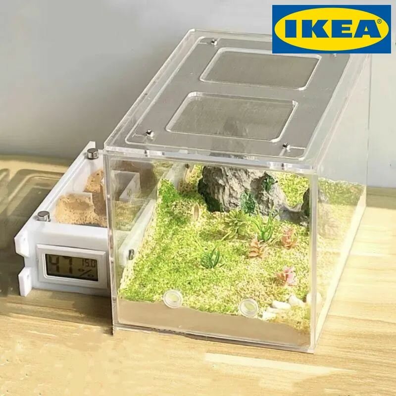 Муравьиная ферма