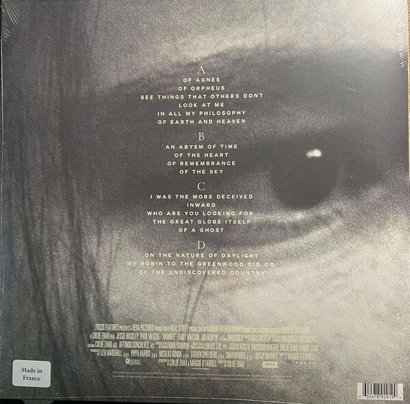 Max Richter - Hamnet (soundtrack) (2LP) — фото 1