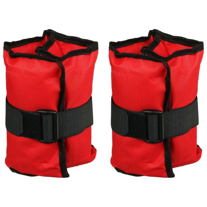 Утяжелители ONLYTOP, 2 шт. × 2 кг, цвет микс