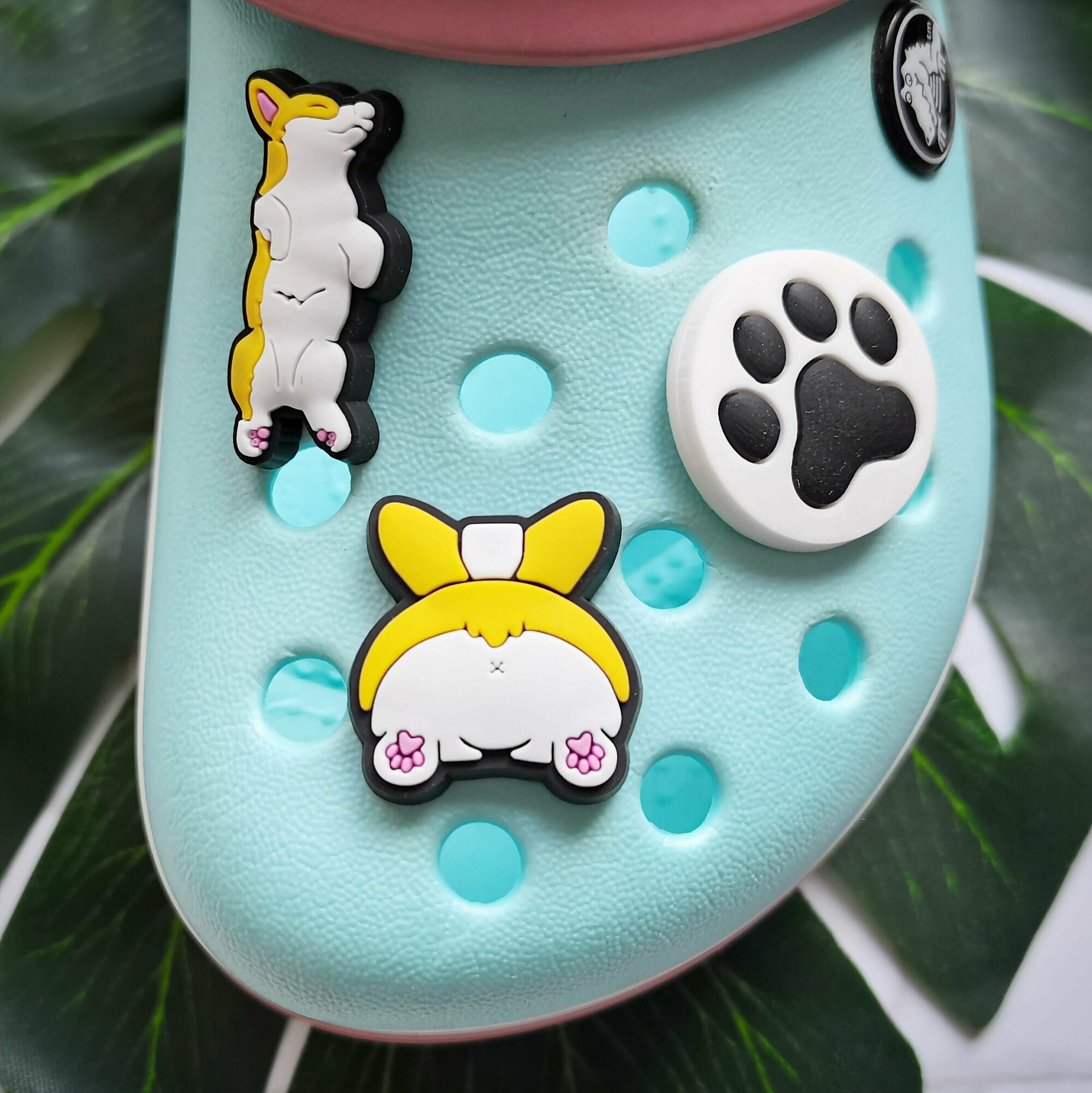 Джибитсы корги