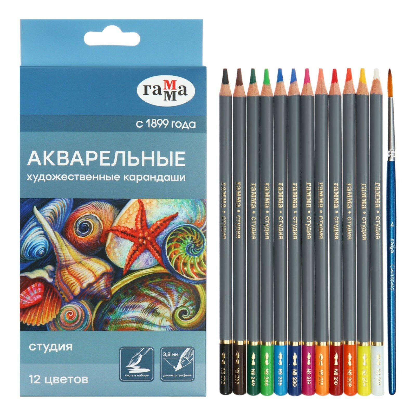 Карандаши цветные акварельные «Гамма. Студия» 12 цветов, грифель 3.8 мм, картонная коробка 110822_12