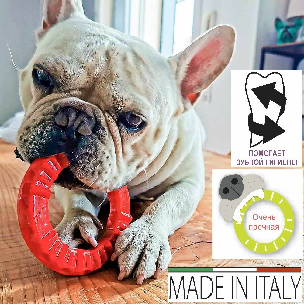 Игрушка для собак стоматологическая Ferplast SMILE S из термопластичного полиуретана - прочная, с ароматом мяса, 12 см