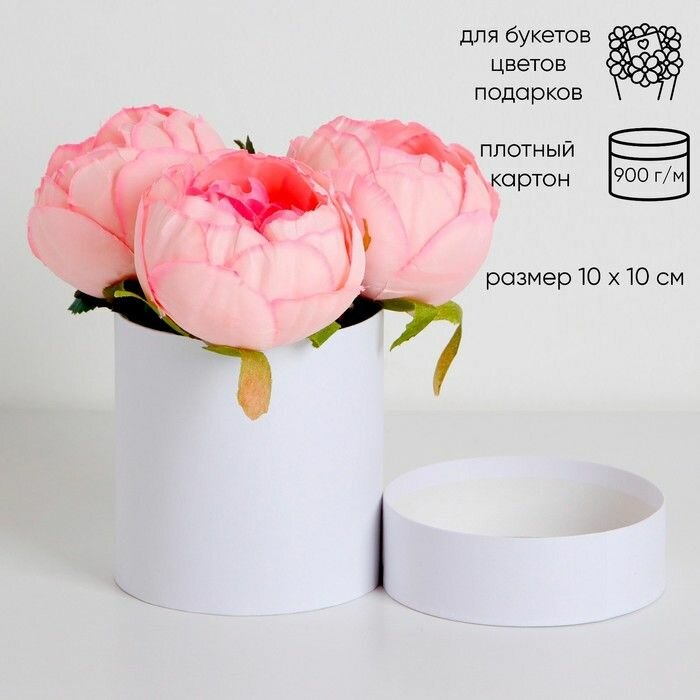 Шляпная коробка UPAK LAND белая, 10х10 см, круглая, цилиндрическая