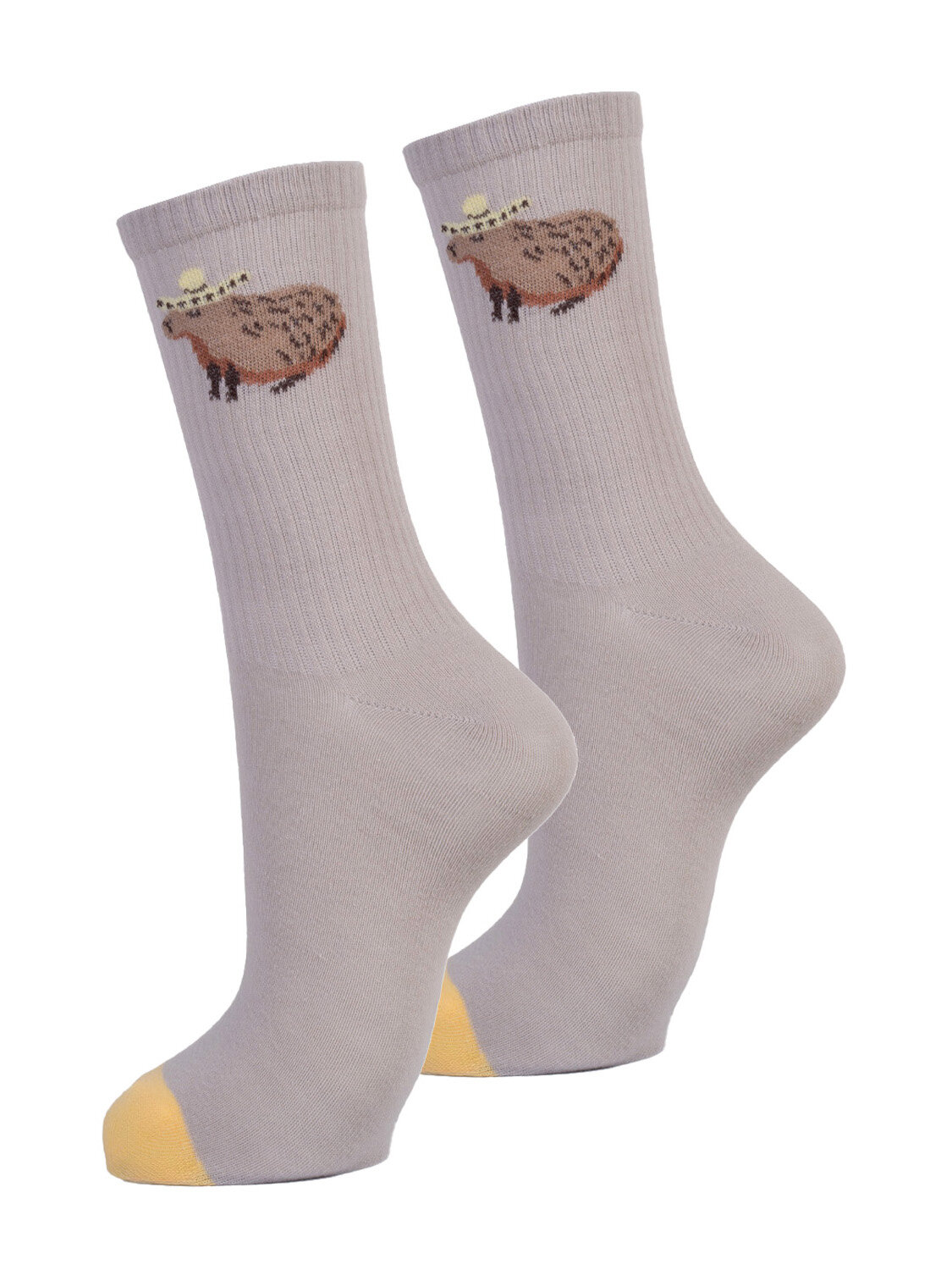 Носки базовая