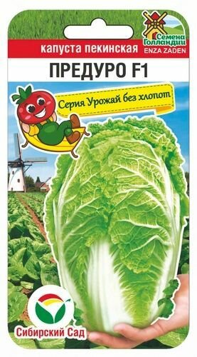 Капуста пекинская Предуро F1 (3 упаковки), семена