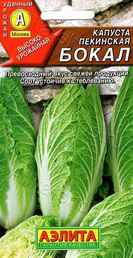 Капуста пекинская Бокал (3 упаковки), семена