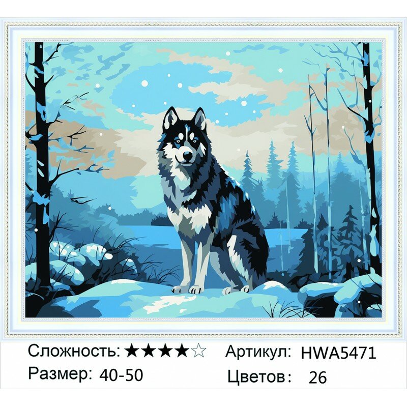 Алмазная мозаика Painting Diamond HWA5471, холст на подрамнике, круглые стразы, 40x50 см