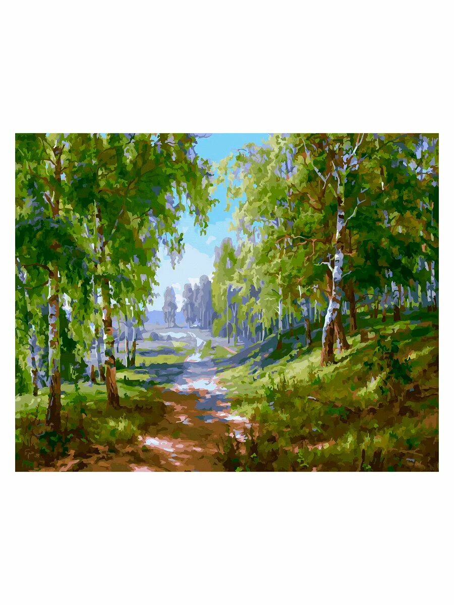 Картина по номерам 40x50 см, "Берёзовая роща", Басов С. Kubanstar
